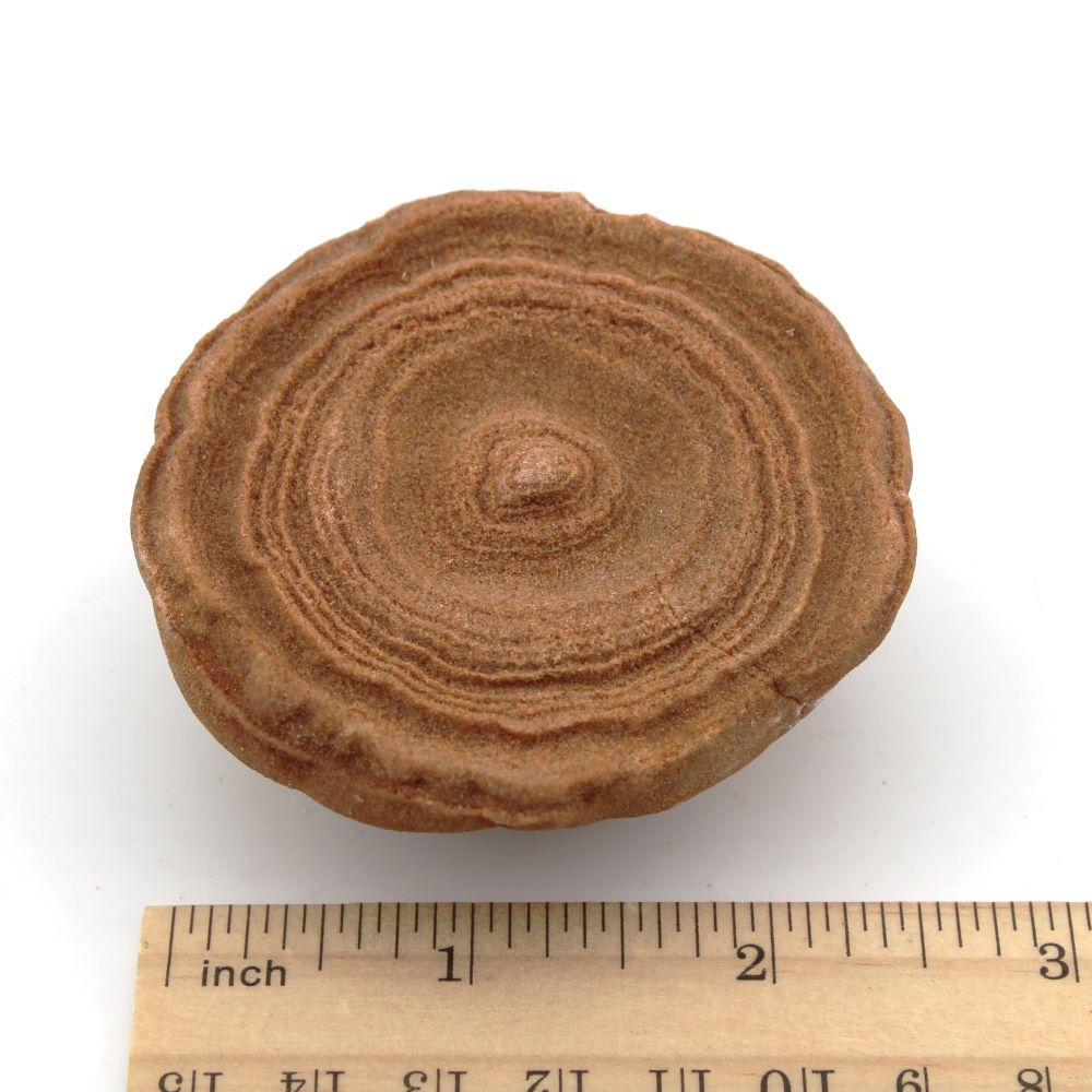 Barite & Sand Concretion - Bey's Rock Shop
