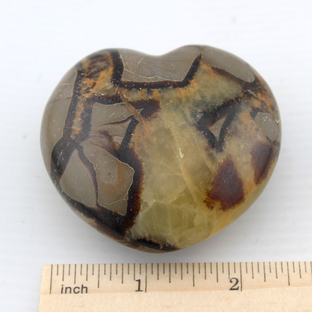 Septarian Heart (Dragon Stone) - Bey's Rock Shop